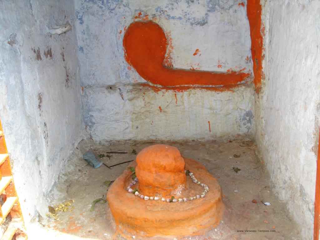 Karkotak Nageshwar - Varanasi Temples